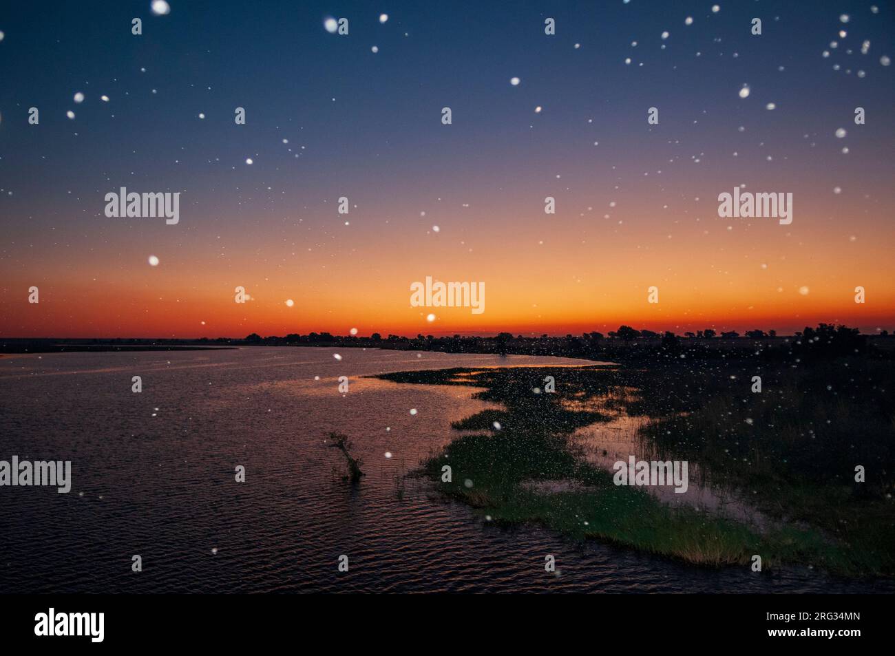 Thousand of insects flying over the Chobe River at sunset. Chobe River ...