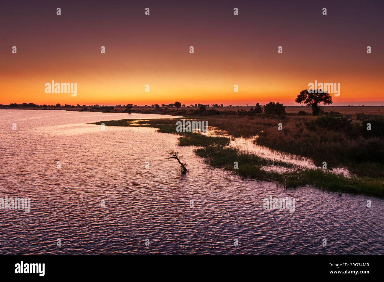 The Chobe River and its silhouetted shoreline at sunset. Chobe River, Chobe National Park ...