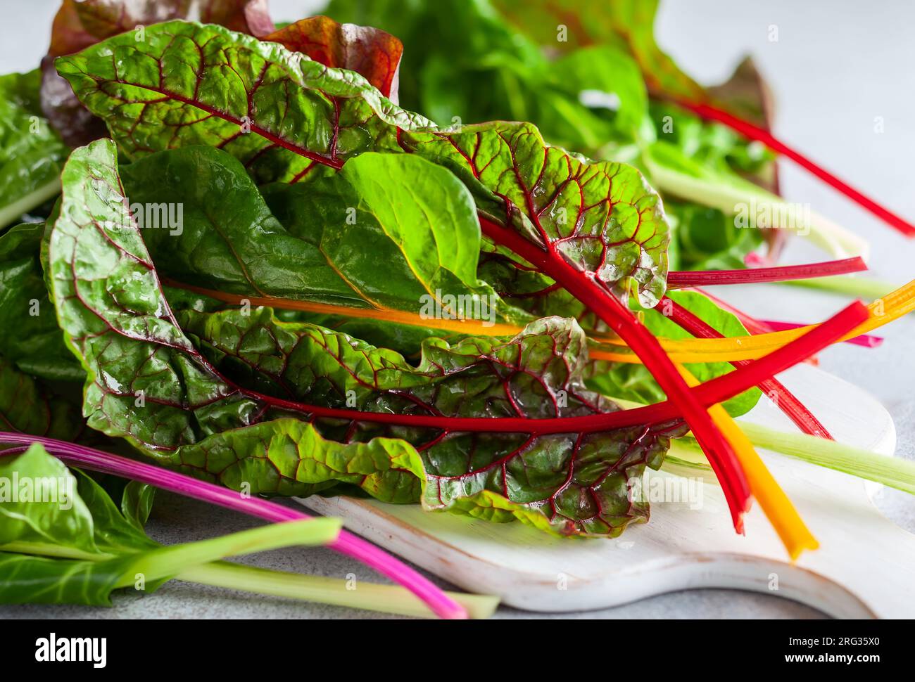 Various different coloured chard leaves on a gray surface Stock Photo ...