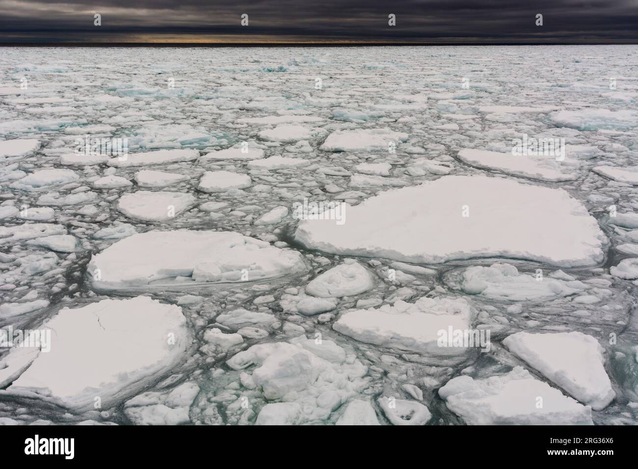 A view of melting sea ice on the Arctic ocean. North polar ice cap ...