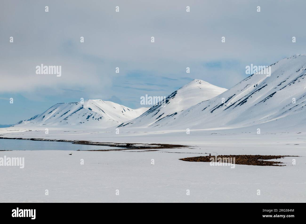 Snow layers mountains and the beach at Mushamna. Mushamna, Spitsbergen ...