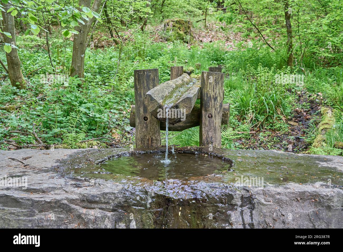 Siegquelle is the source of the river Sieg in the Rothaargebierge ...