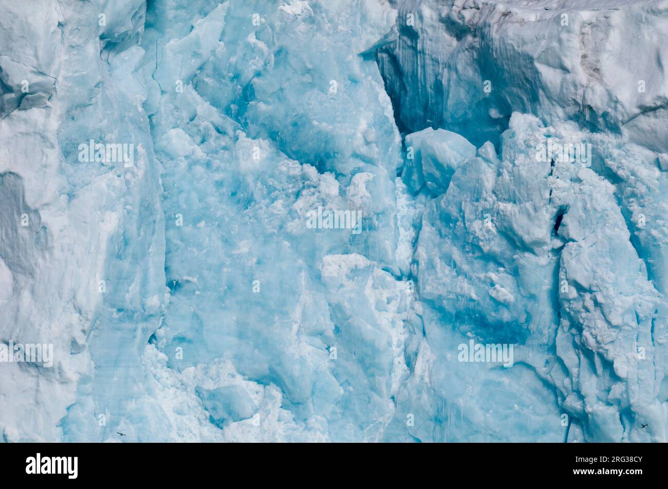 Blue ice in a wall of Lilliehook Glacier. Lilliehookfjorden ...