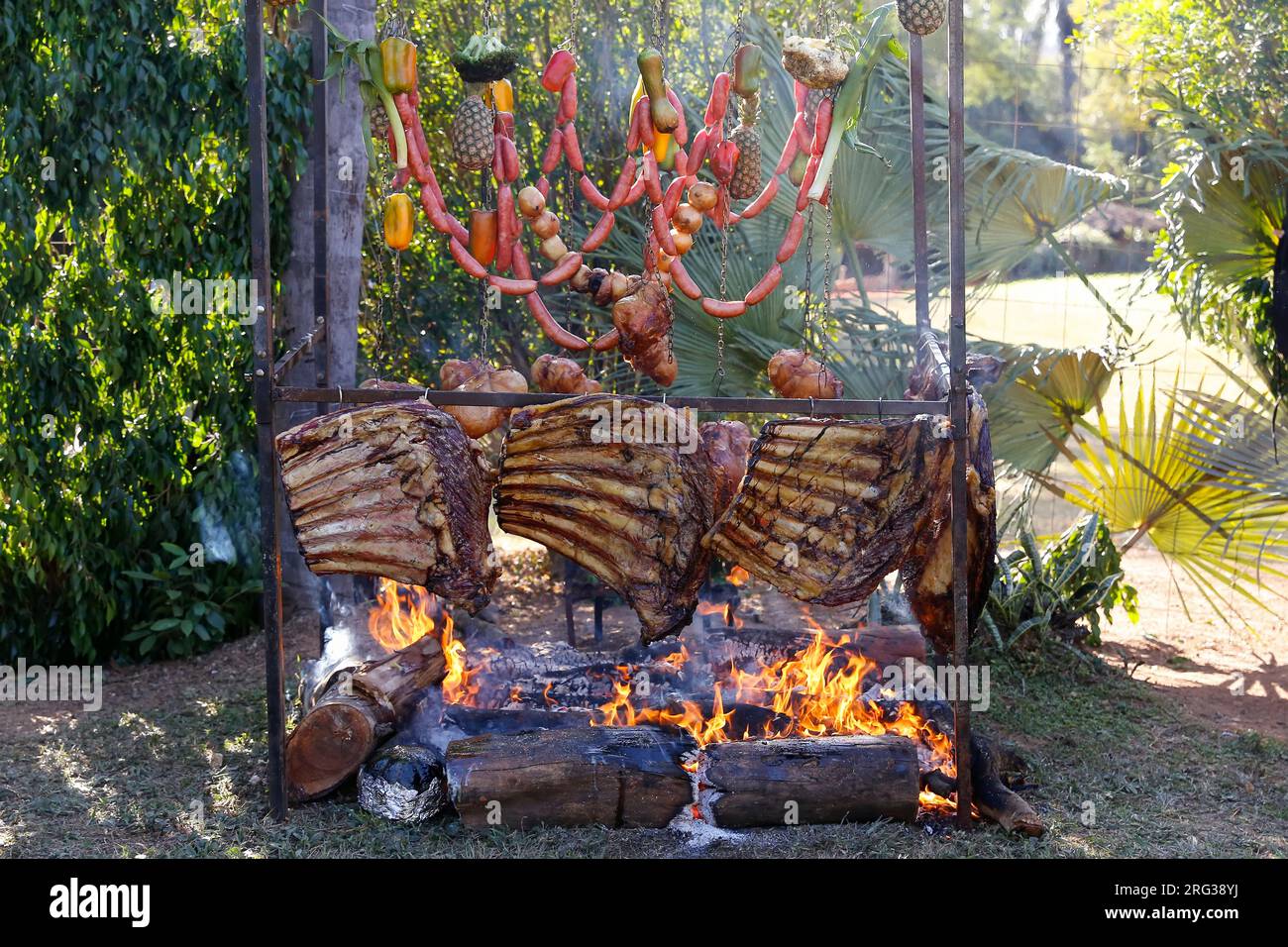 barbecue set up for barbecue in the style of ground fire Stock Photo ...