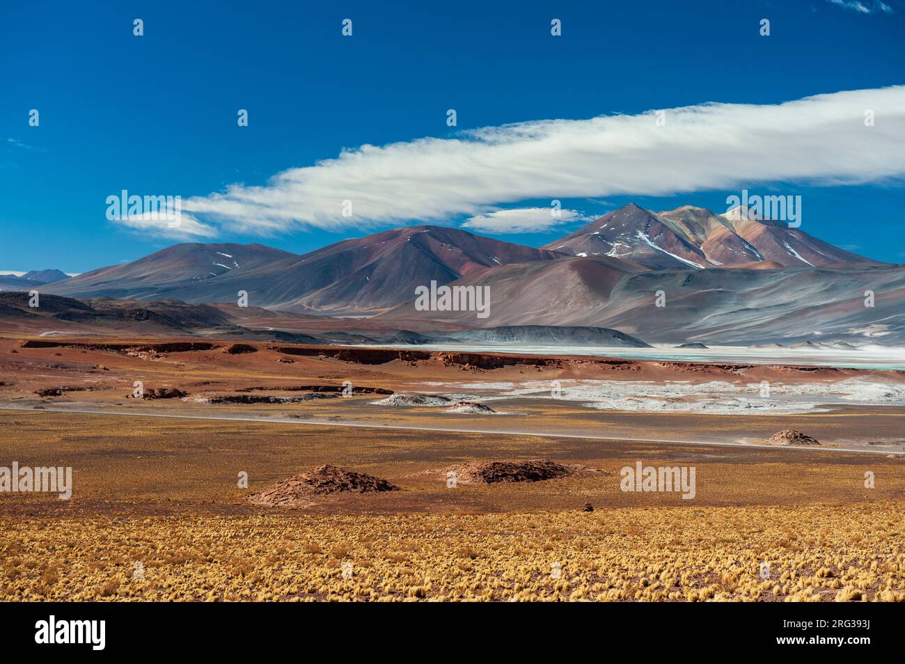 A landscape of the Chilean Andes and Salar de Talar salt flat, at an ...