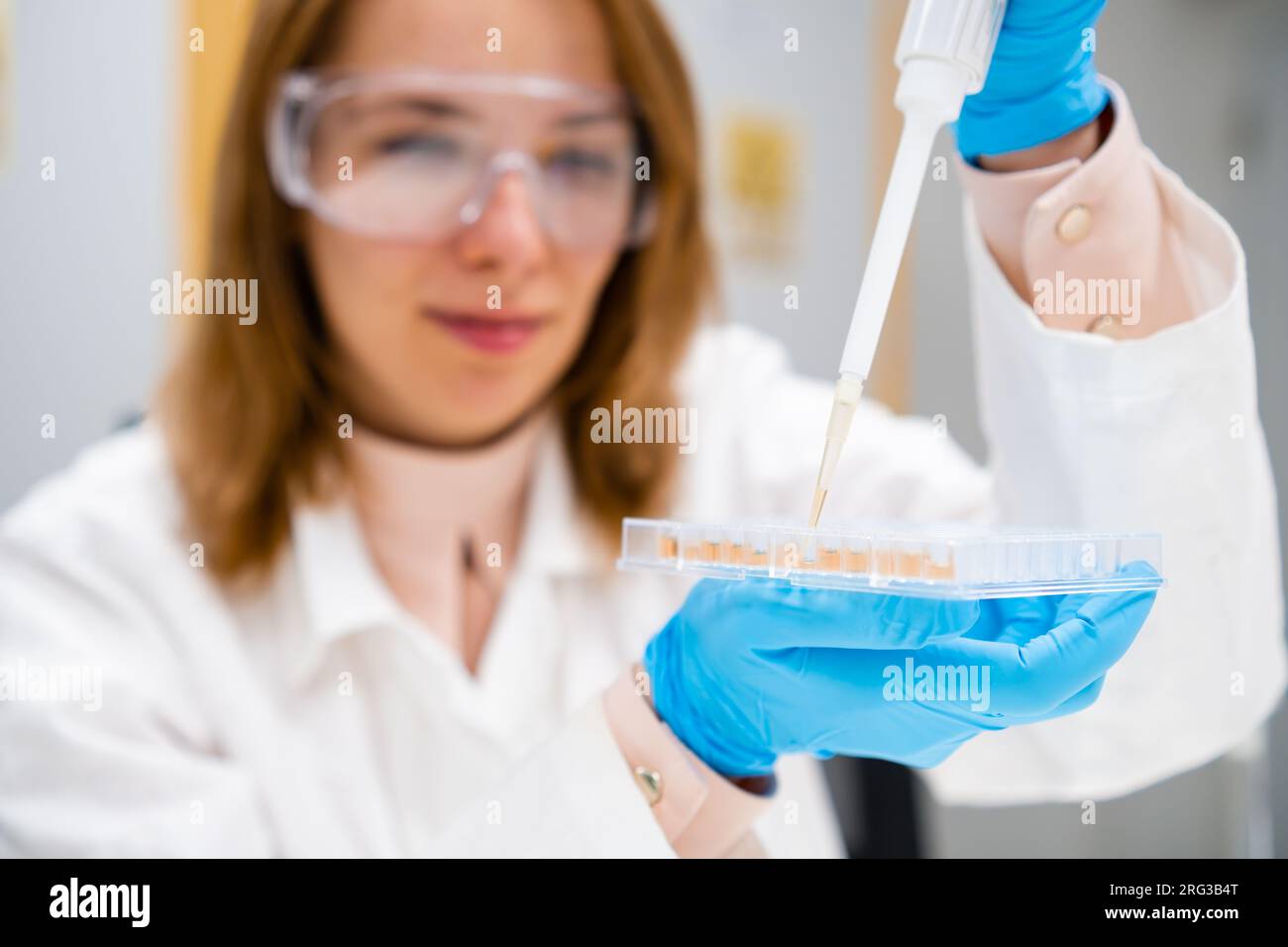 Scientist in goggles and rubber gloves uses pipette for filling 96 well plate for ...