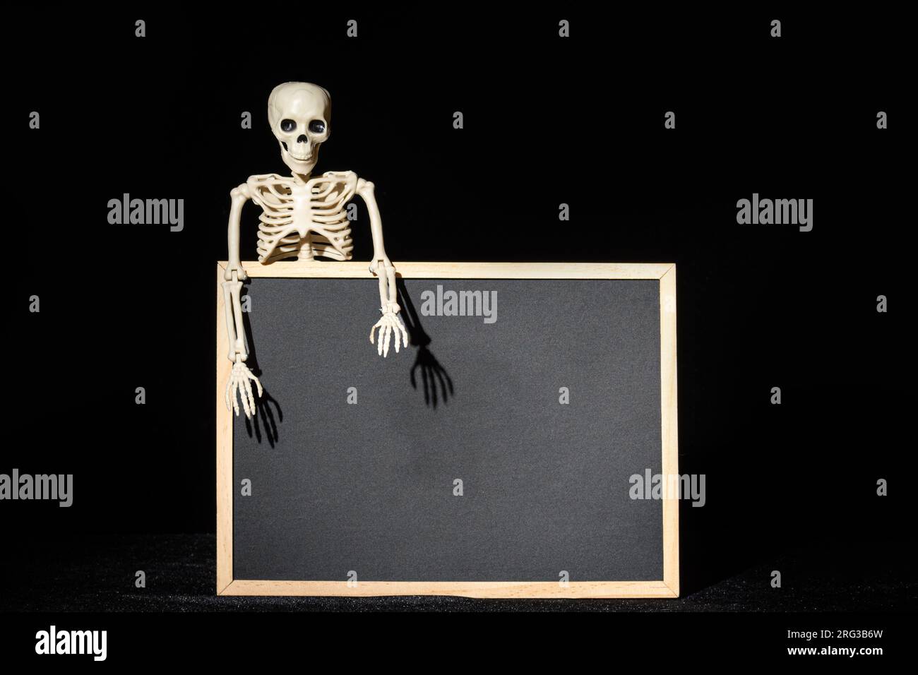 Funny human skeleton holding an empty black blank on a black background ...