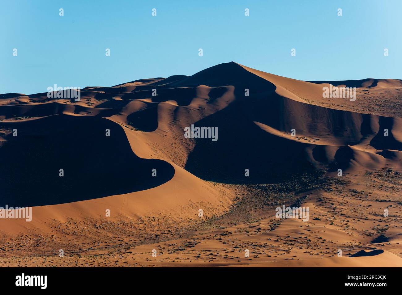 Swirling ridge lines of red sand dunes in the Sossusvlei. Namib ...