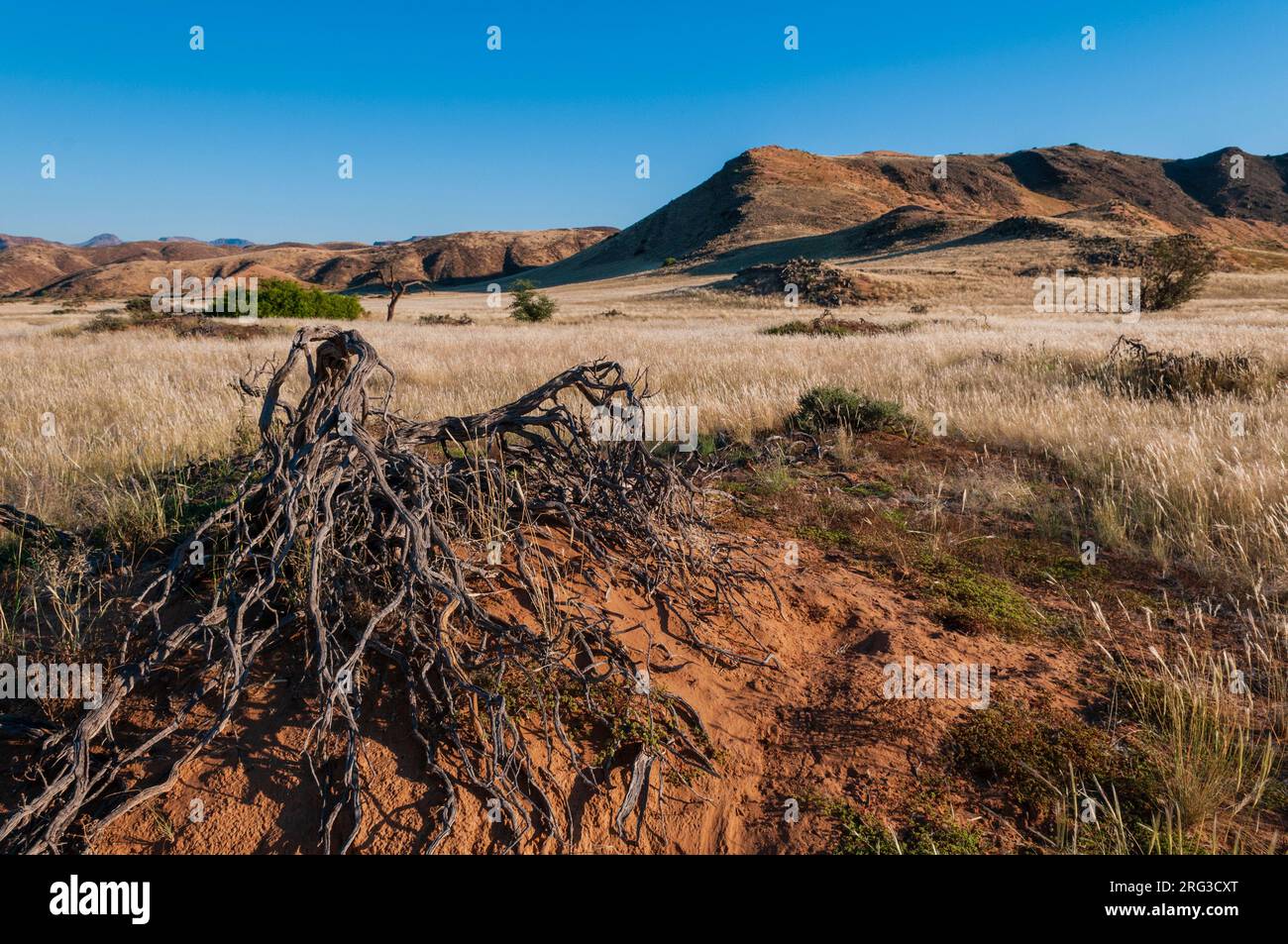 Grasslands and mountains in the Kunene Region. Huab River Valley ...