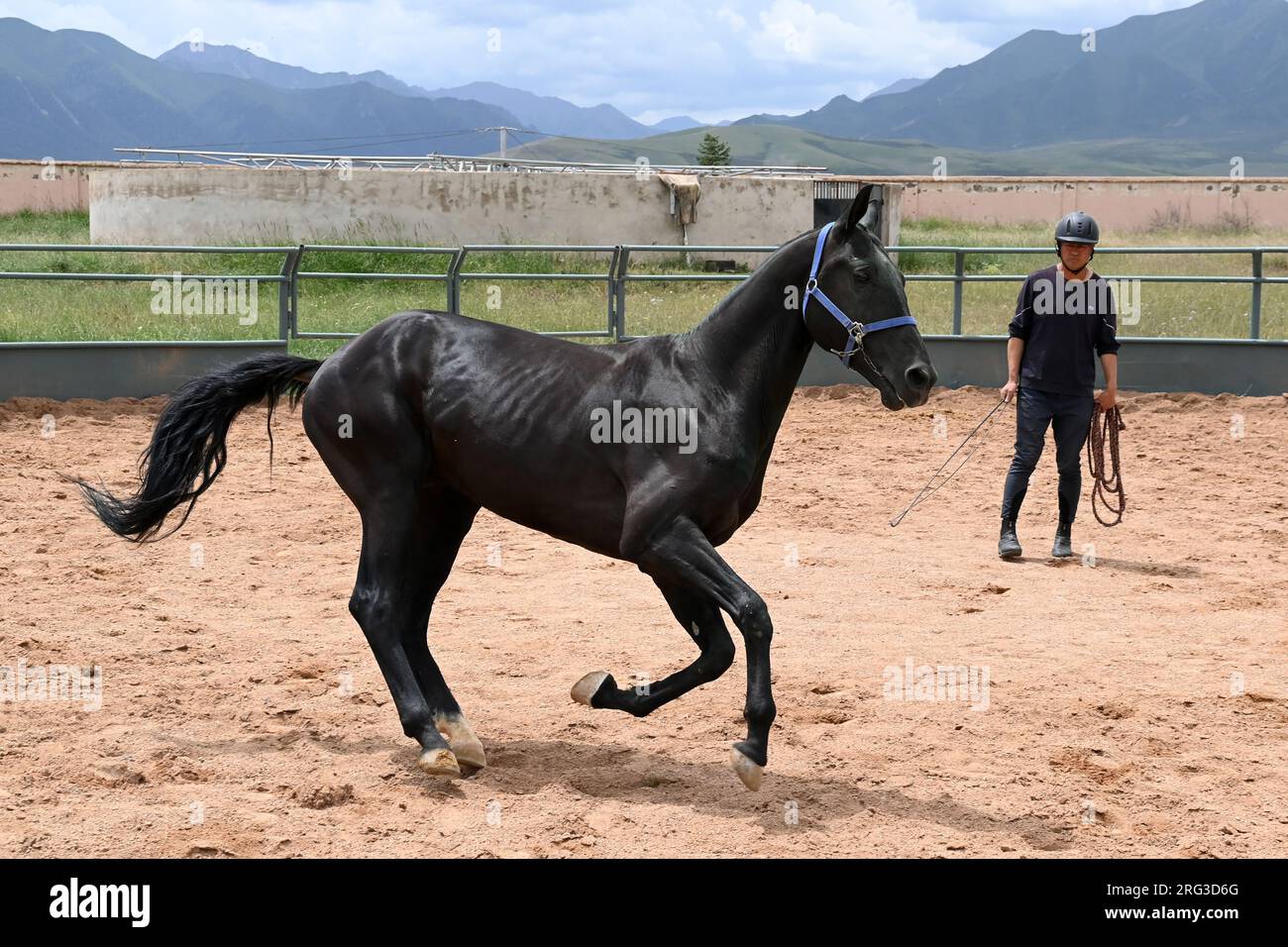 Shandan. 6th Aug, 2023. This photo taken on Aug. 6, 2023 shows a ...