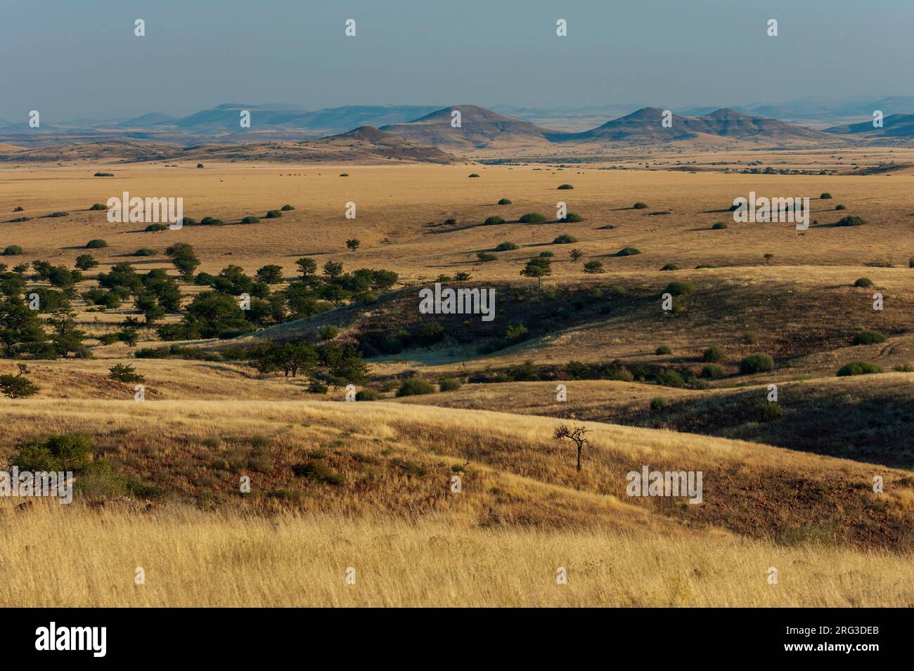 A vast expanse of grasslands and hills in the Torra Conservancy ...
