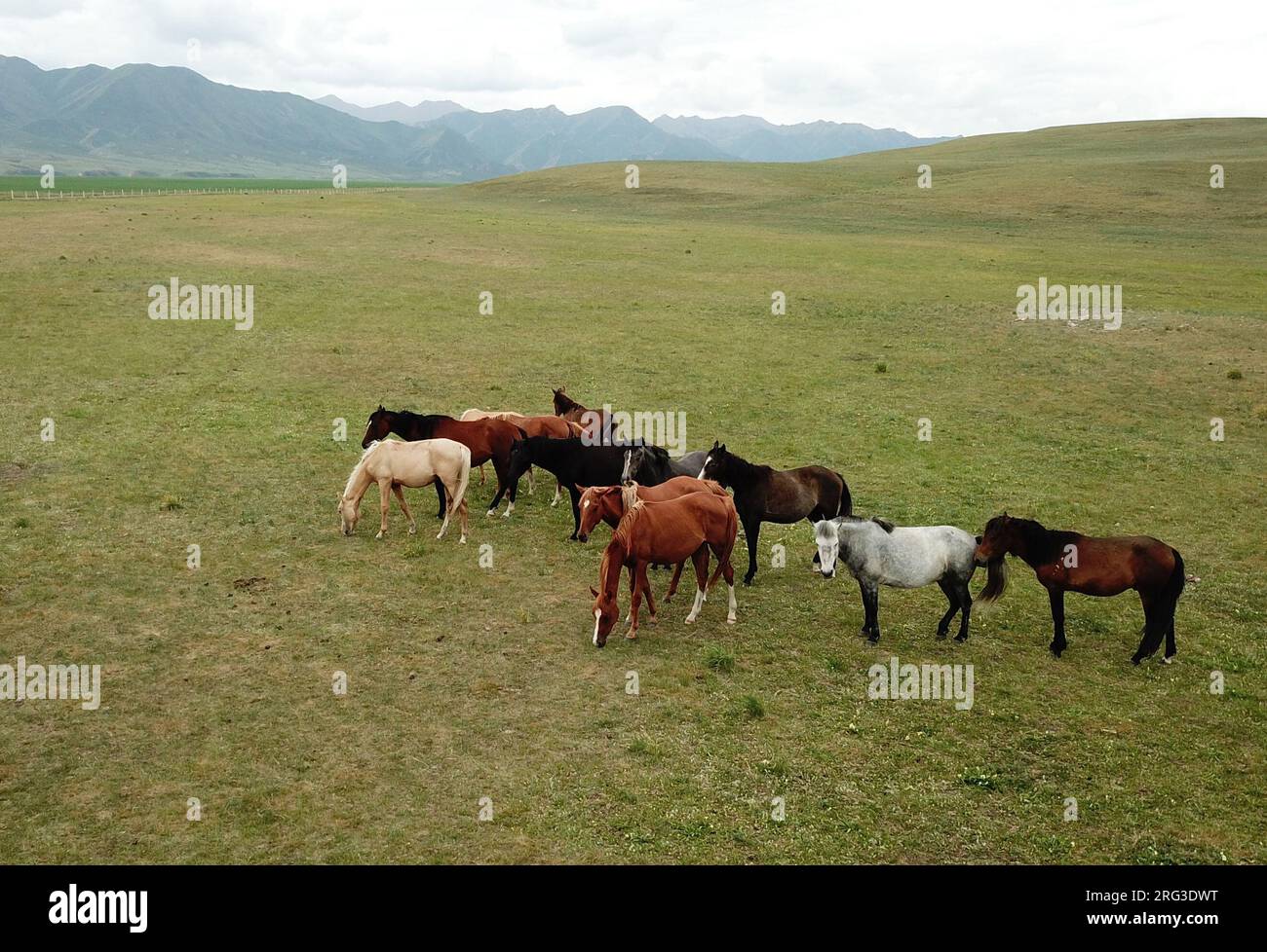 Shandan. 6th Aug, 2023. This aerial photo taken on Aug. 6, 2023 shows ...