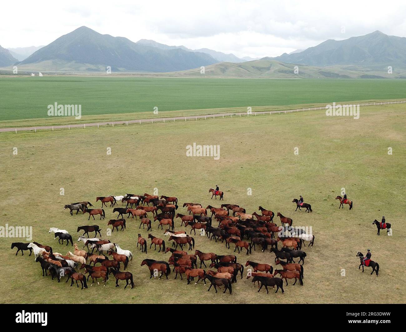 Shandan. 6th Aug, 2023. This aerial photo taken on Aug. 6, 2023 shows ...