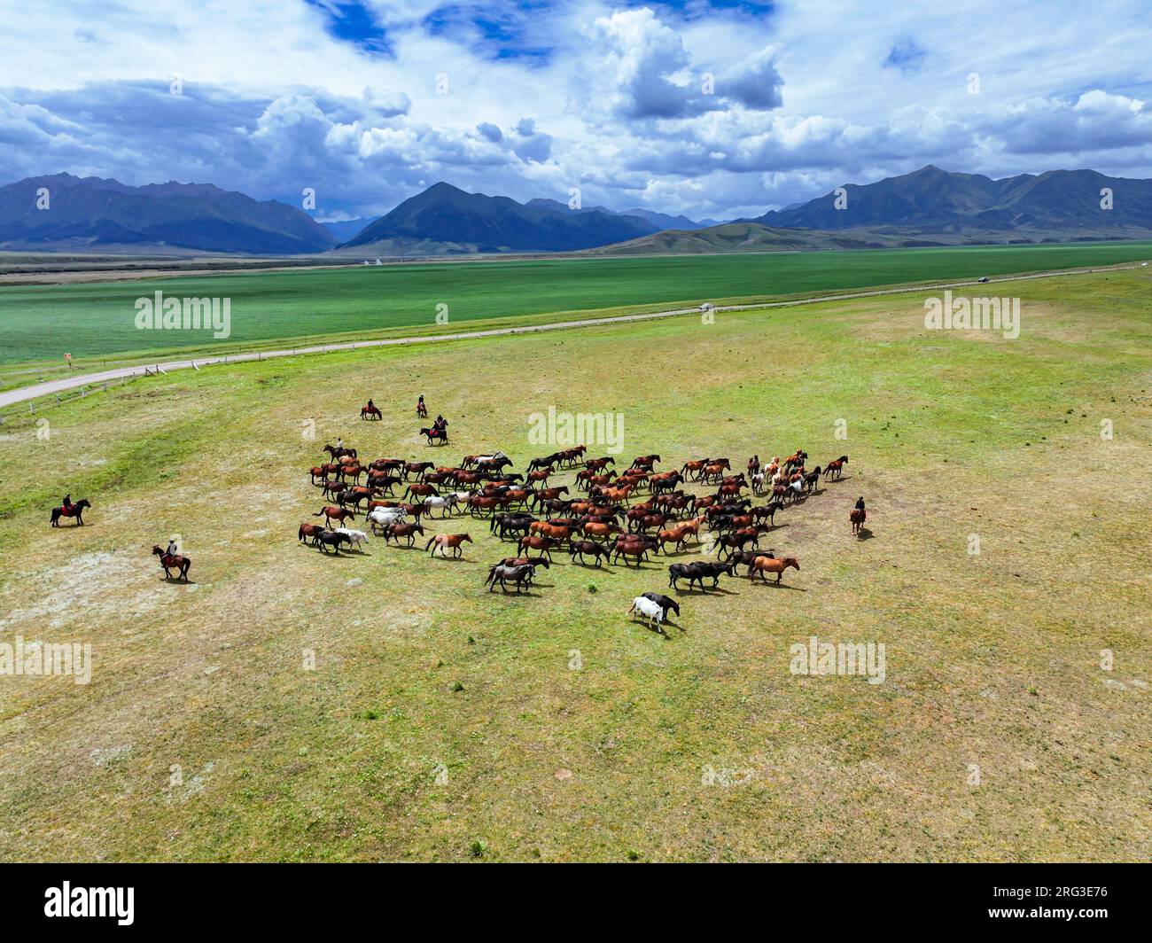 Shandan. 6th Aug, 2023. This aerial photo taken on Aug. 6, 2023 shows ...