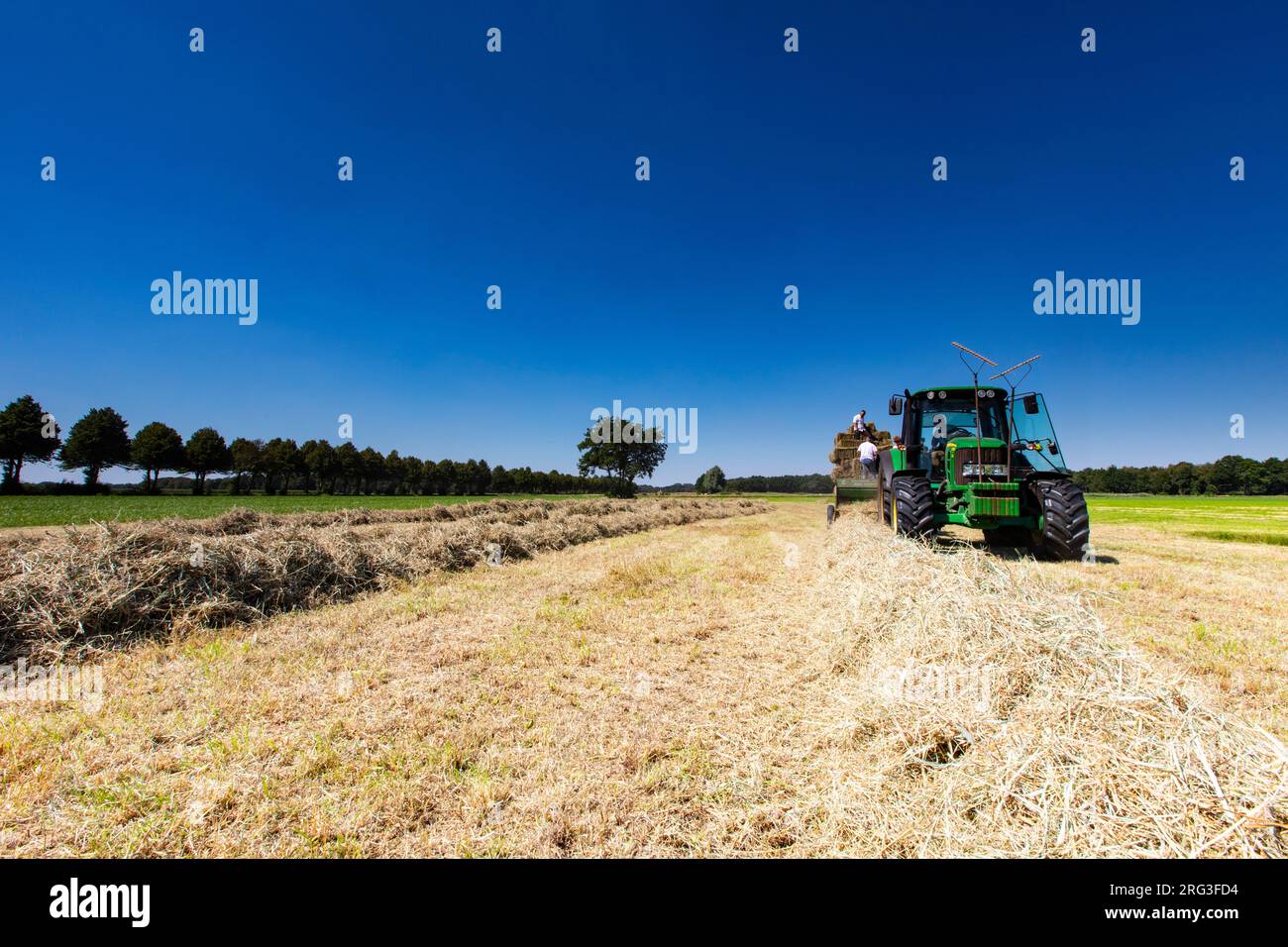 Nitrogen gathering hi-res stock photography and images - Alamy