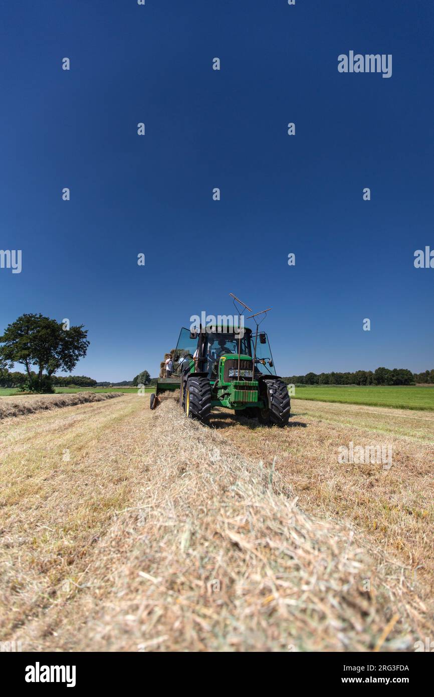 Herb gathering hi-res stock photography and images - Alamy