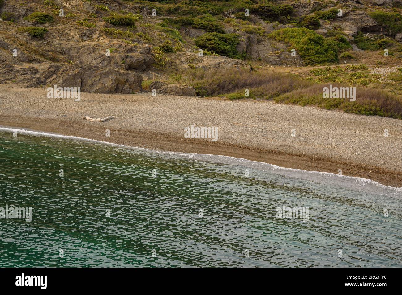 Cerca de la selva hi-res stock photography and images - Alamy