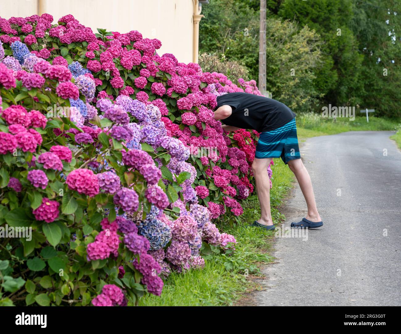 A funny photo of a young man dressed in shorts and shirt pokes his head ...