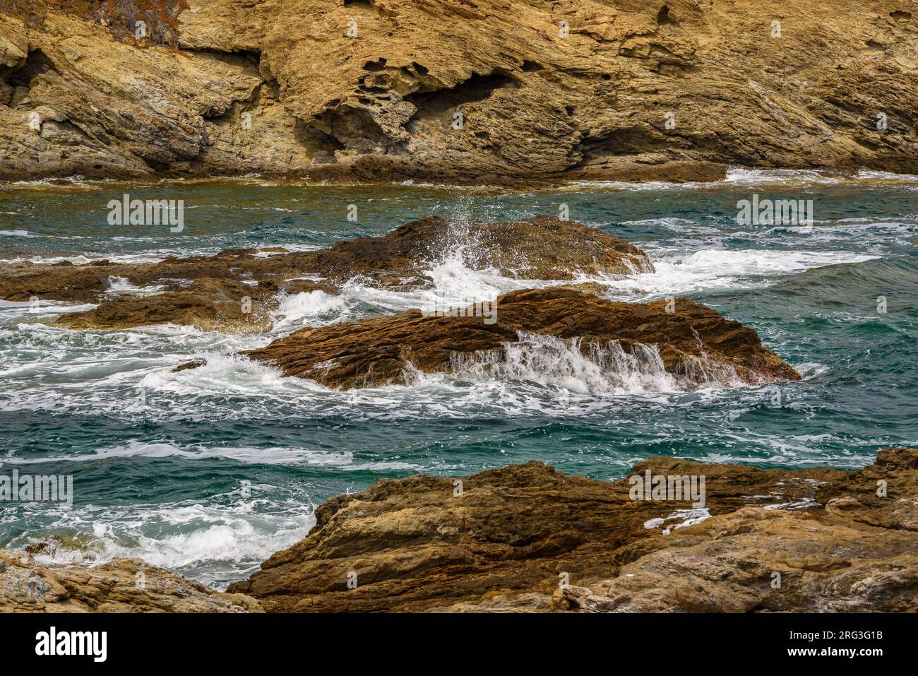 Rocas selva hi-res stock photography and images - Alamy