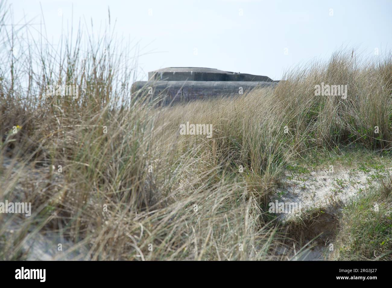 German WW2 bunker Skagen, Denmark Stock Photo - Alamy