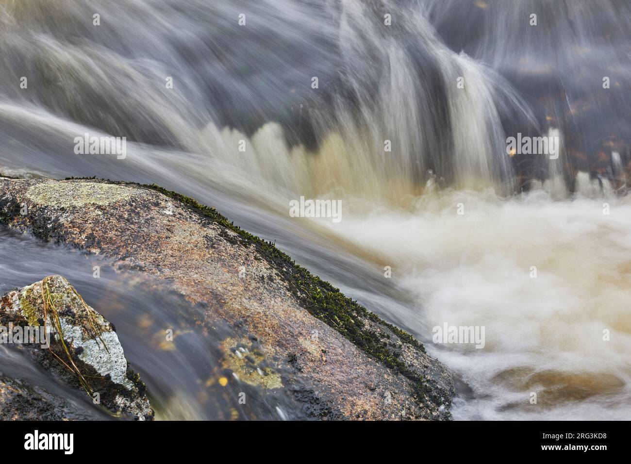 A close-up of water flowing around rocks in a moorland stream; the ...