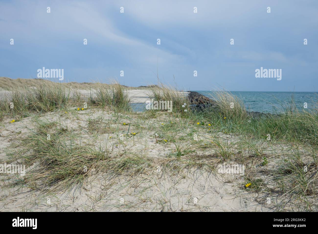 Northern tip of denmark hi-res stock photography and images - Alamy