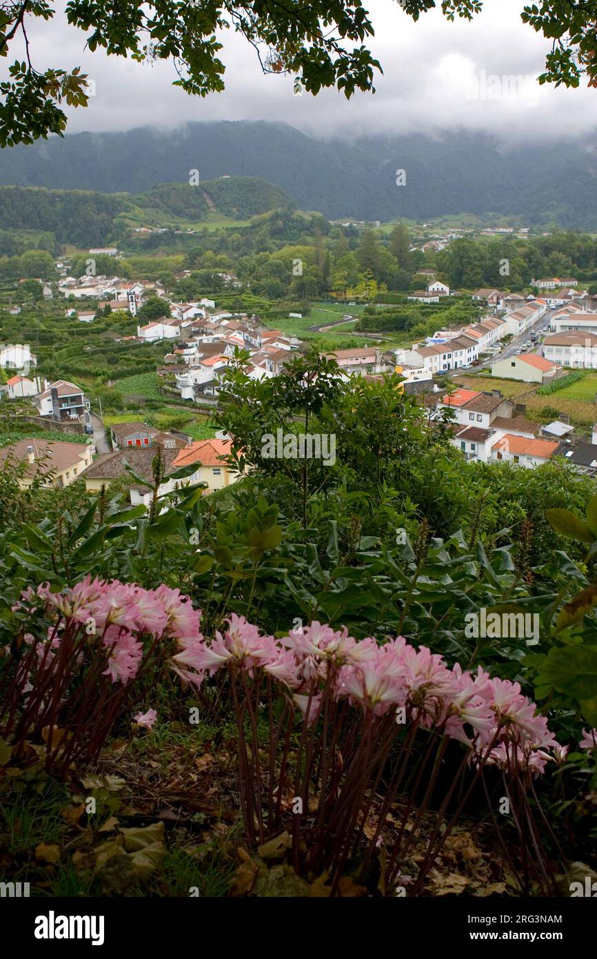 Landschap azoren hi-res stock photography and images - Alamy