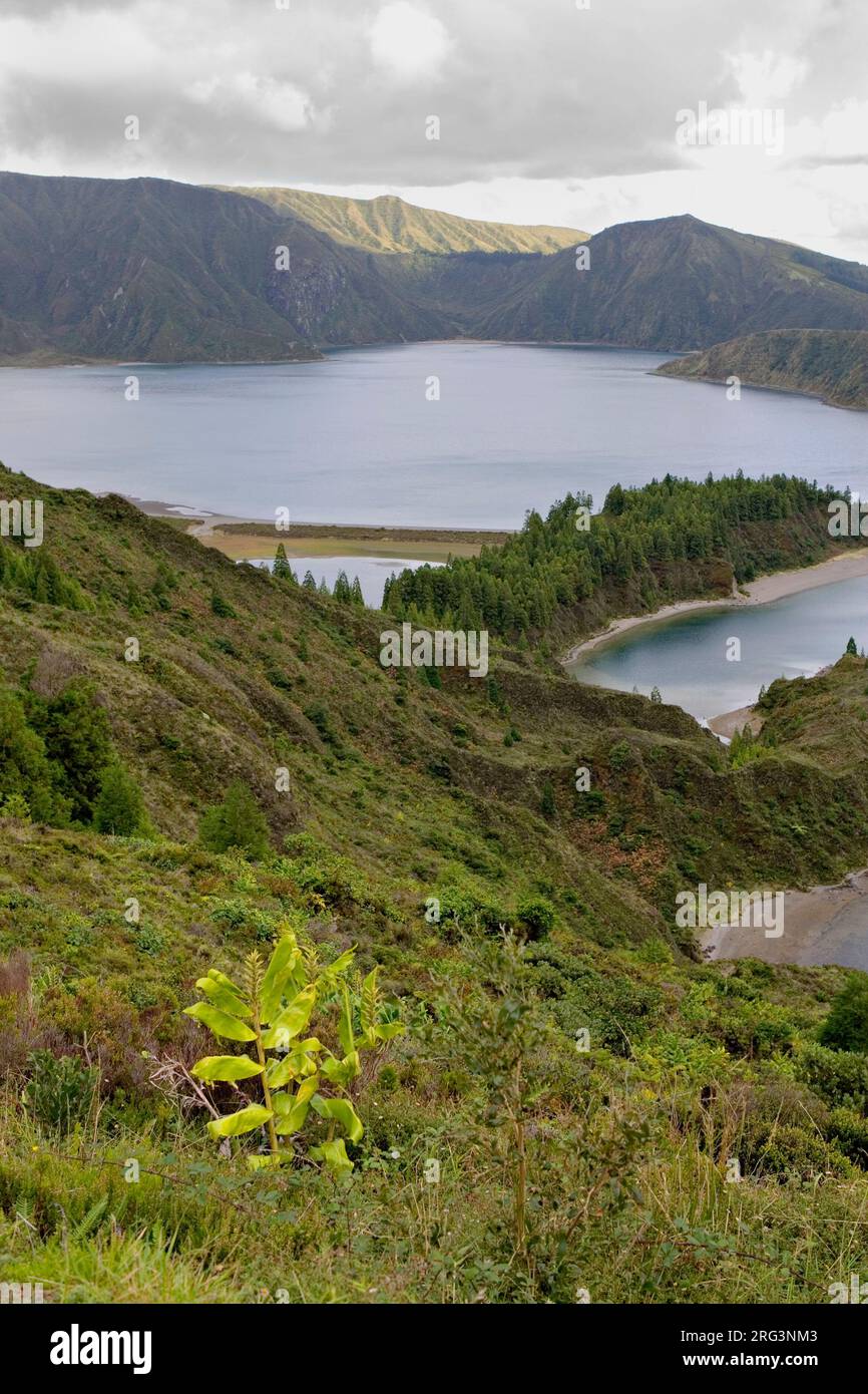 Landschap Azoren; Landscape Azores Stock Photo - Alamy