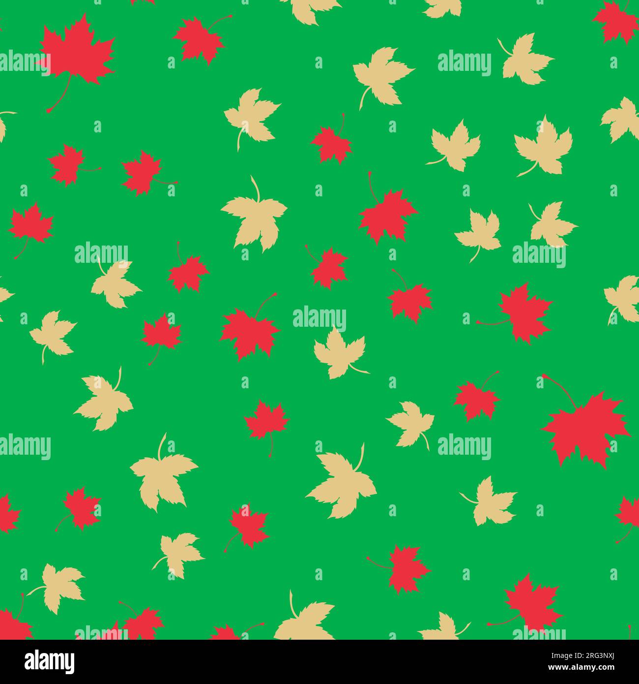 11 3 Stock Vector Images - Alamy