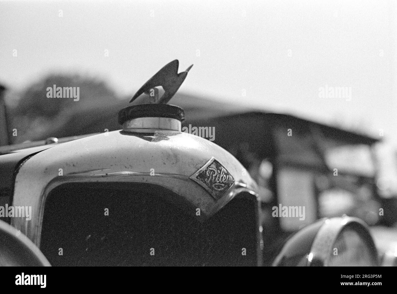 Riley logo Black and White Stock Photos & Images - Alamy