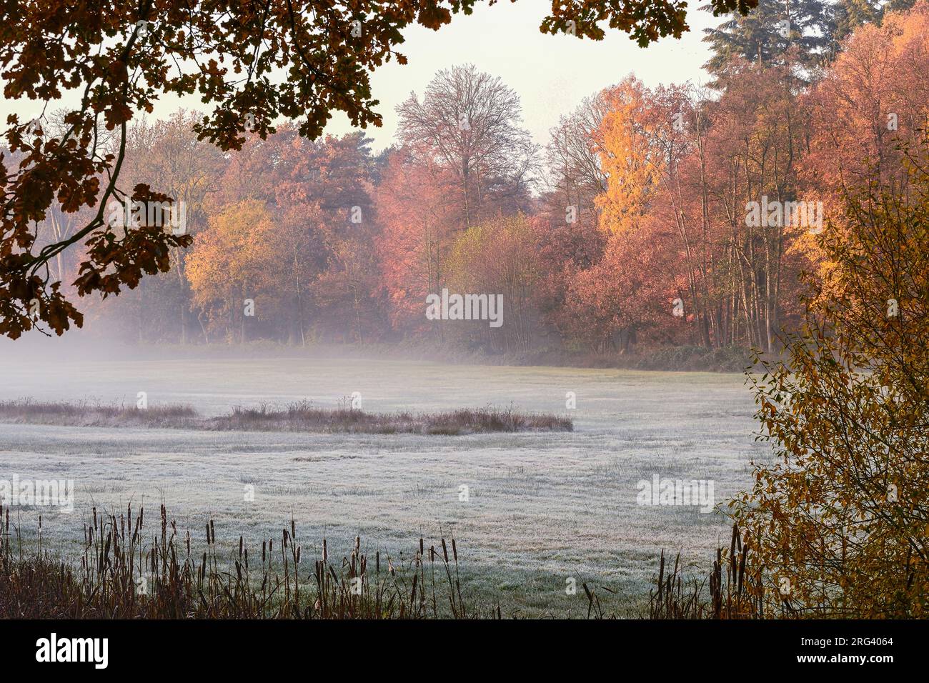 Fall around brookland Stock Photo - Alamy