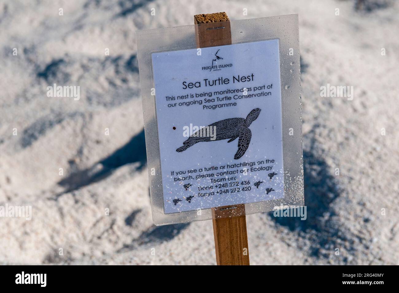 A sea turtle nesting site sign on Anse Victorin beach. Anse Victorin ...