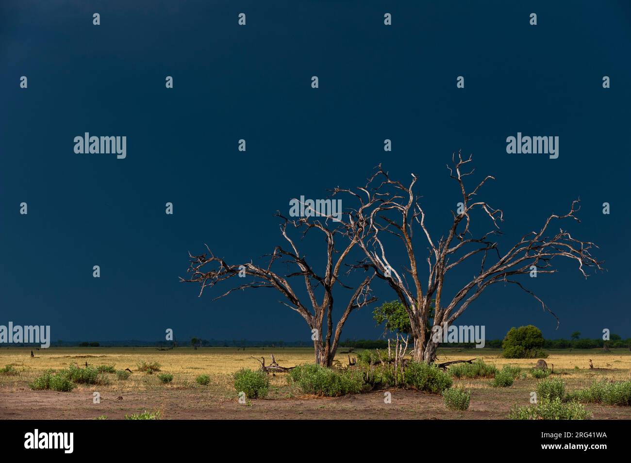 African rainstorm hi-res stock photography and images - Alamy
