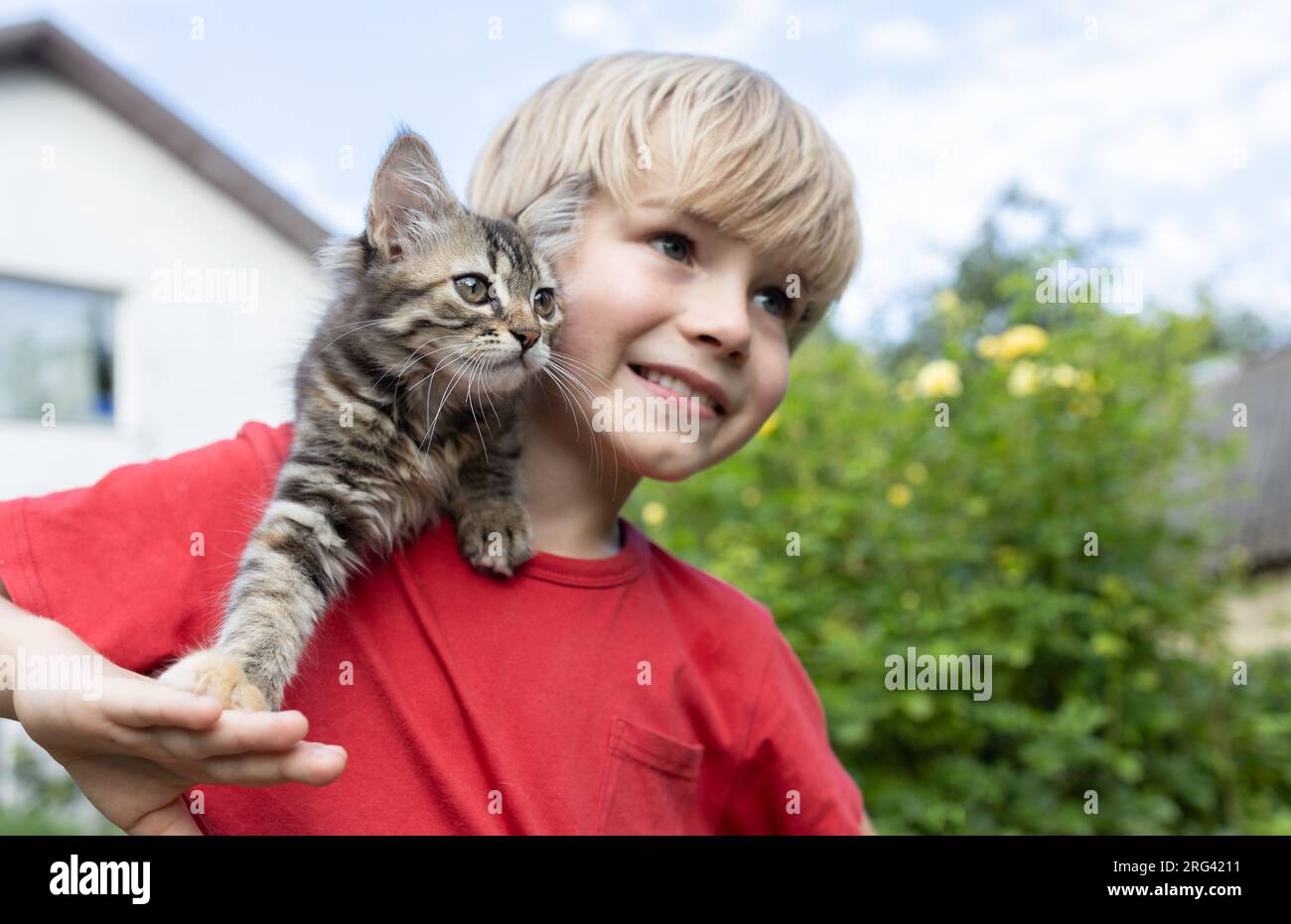 One Direction Holding Kittens