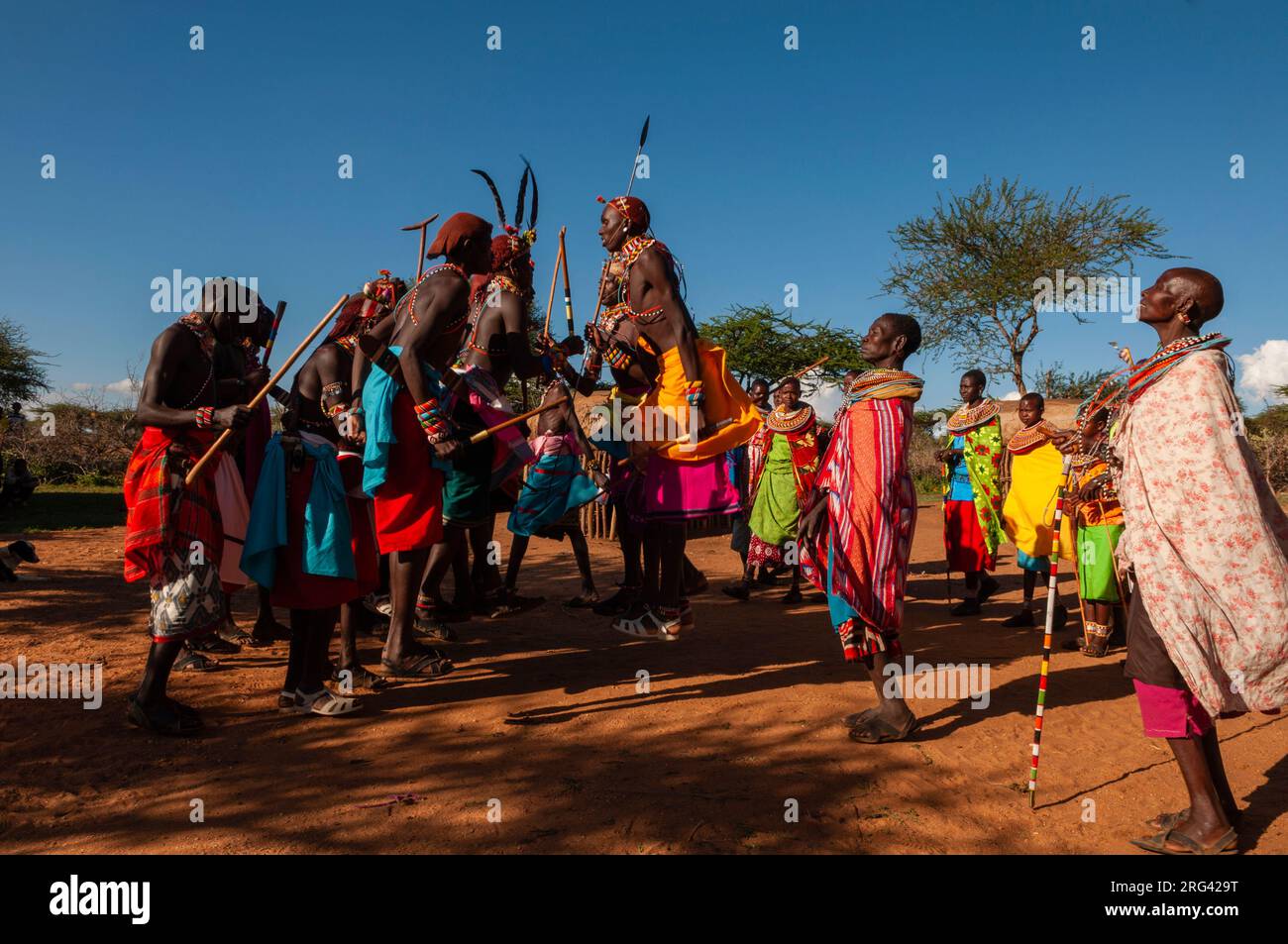 Samburu Tribesmen performing a traditional dance. Loisaba Wilderness ...
