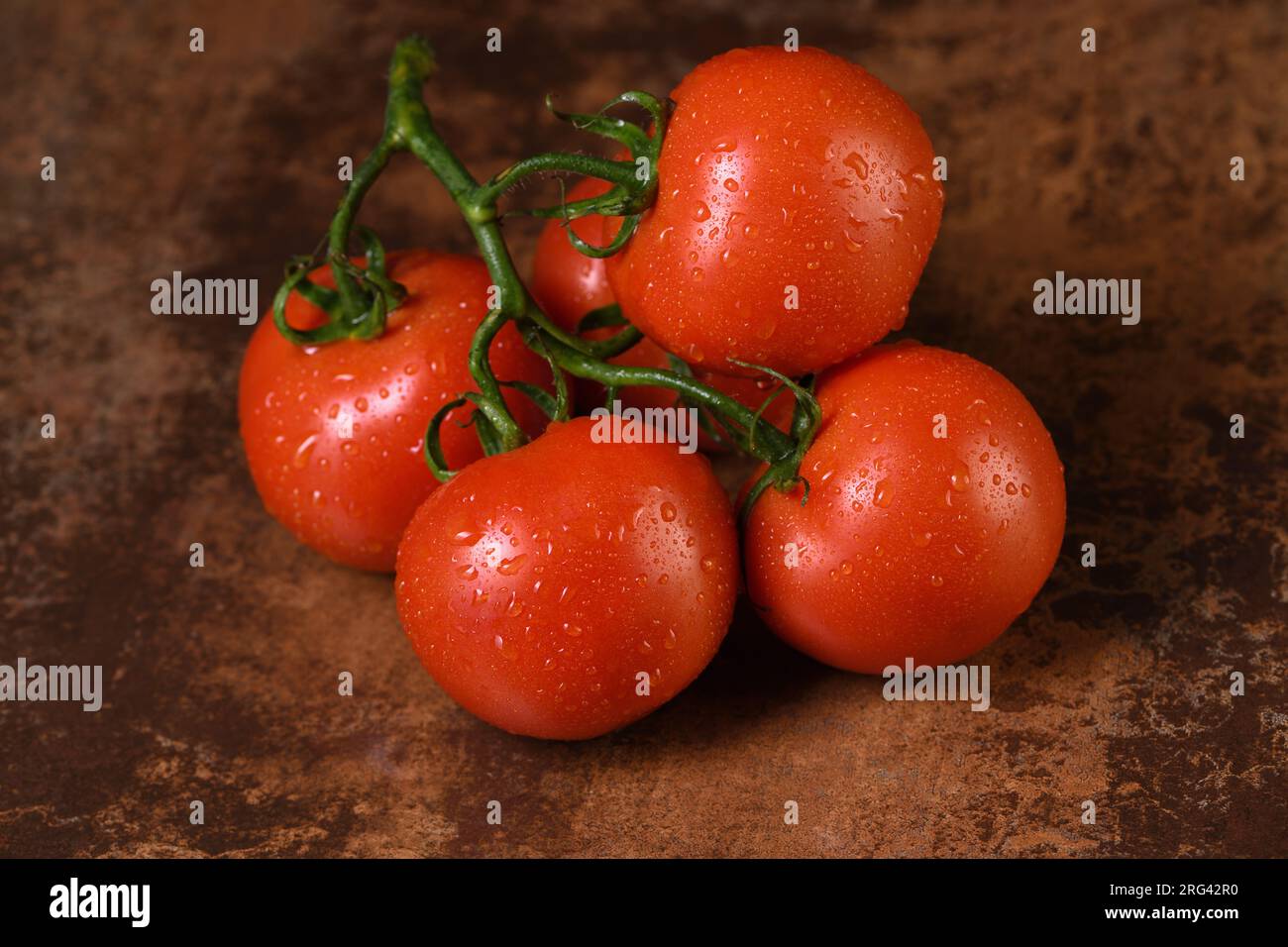 Fresh ripe red tomato branch on a rusty, redhead table with water drops ...