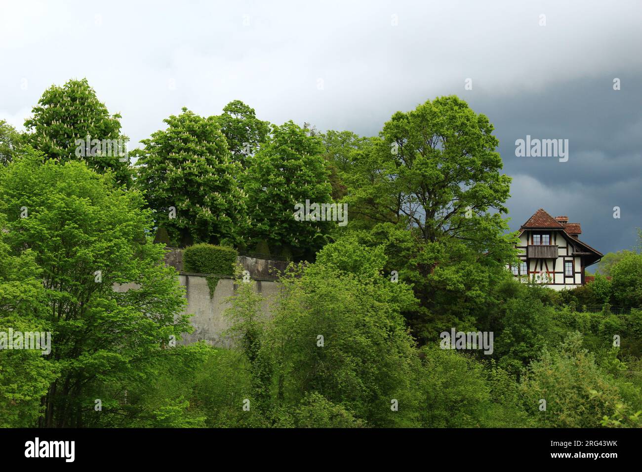 Typical Swiss Chalet cottage nestled in the woods with foggy overcast ...
