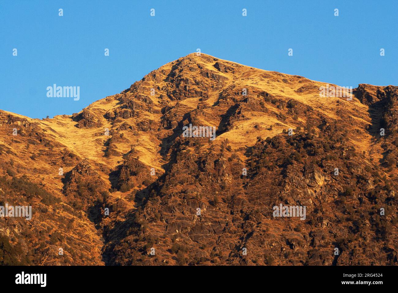 Landscape Himalayas. Lower Himalayan dry slope. Cheer Pheaseant habitat ...