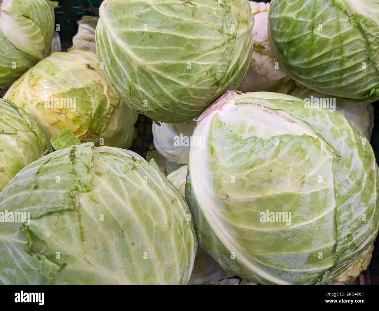 Lots of white cabbage in the supermarket Stock Photo - Alamy
