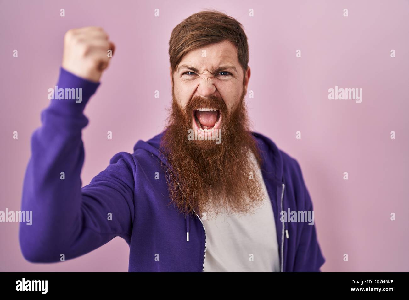 Caucasian man with long beard standing over pink background angry and ...