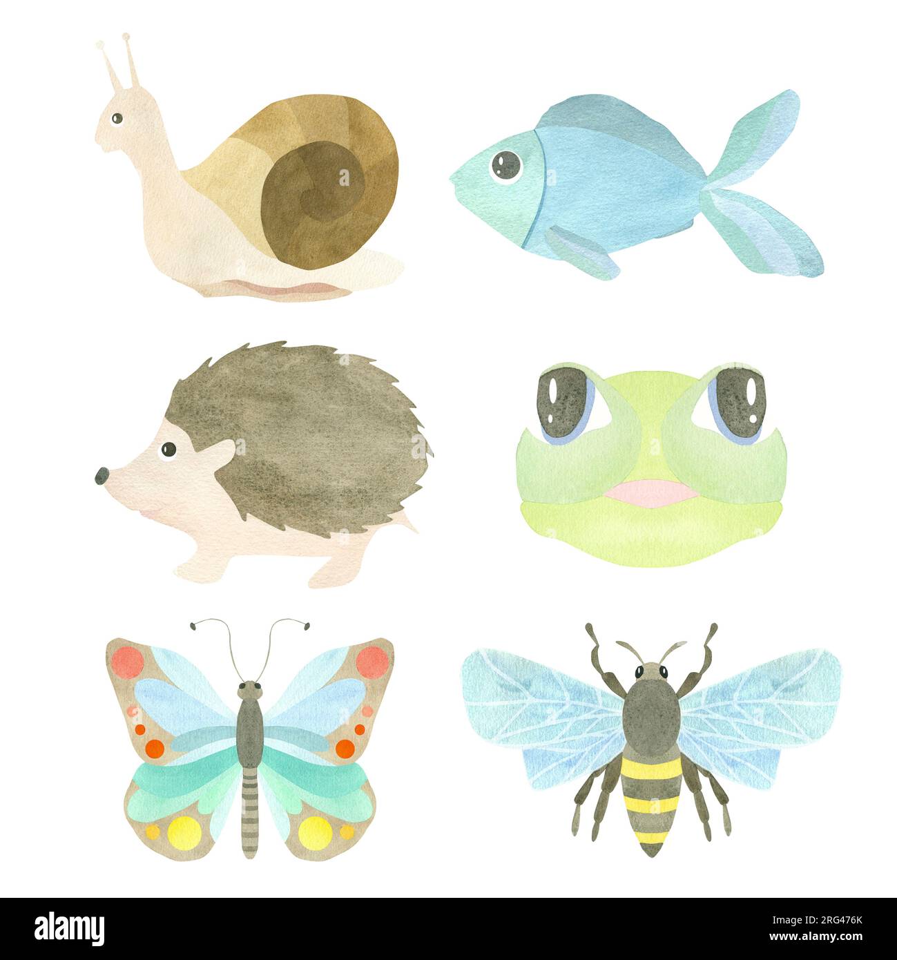 Cute watercolor set of insects and animals living on reservoirs ...