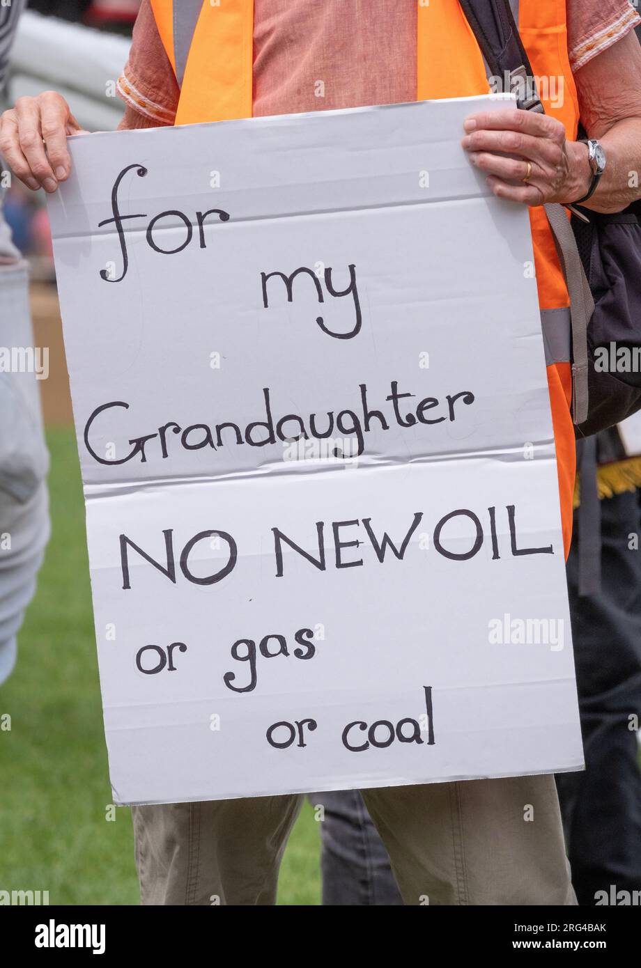 Just Stop Oil activists holding protest signs in central London ...