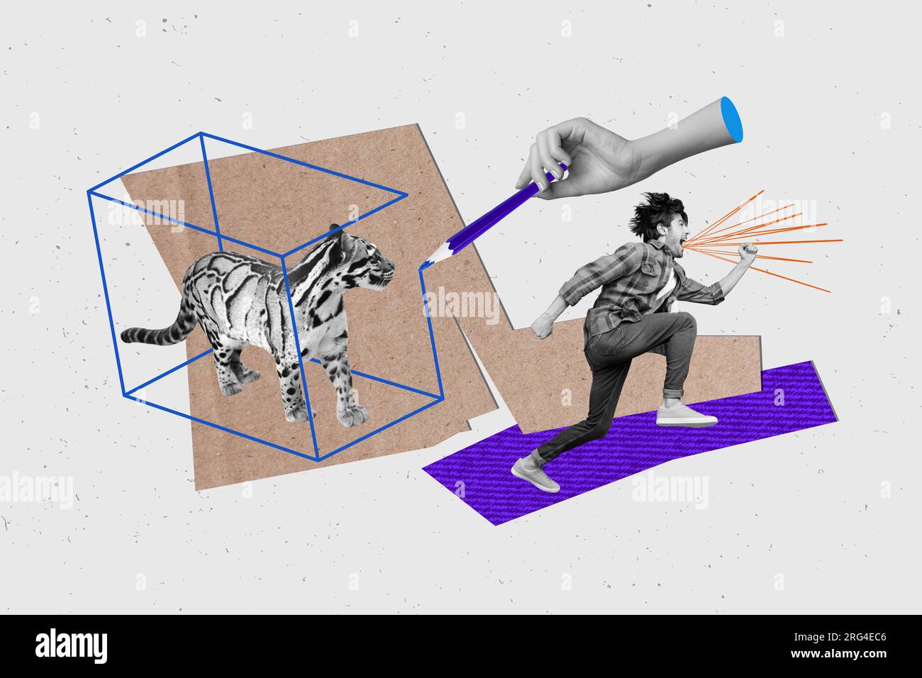 Composite collage image of running away visit zoo animal cat leopard ...