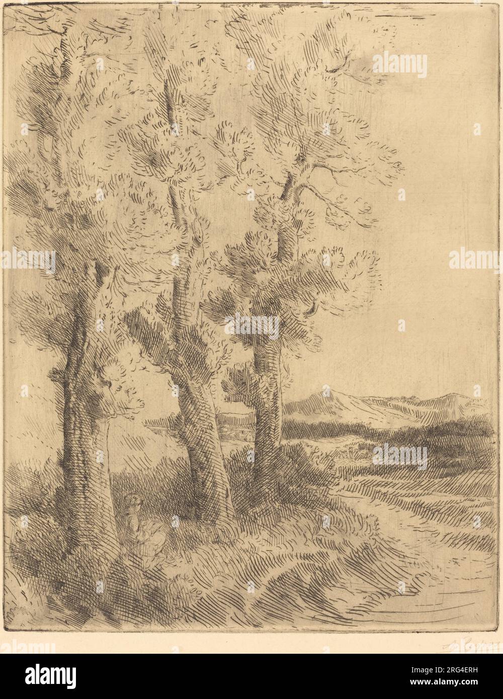 Woman Reading: Lesson under the Trees (La liseuse: La lecture sous les ...