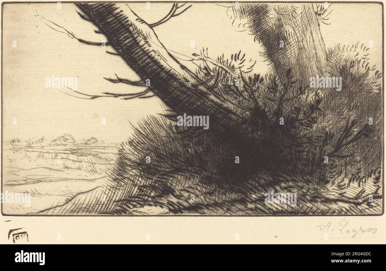 Corner of a Path (Au coin d'un chemin) by Alphonse Legros Stock Photo ...