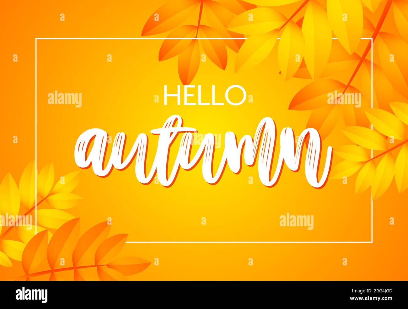 Hello autumn poster design with yellow background Stock Vector Image ...