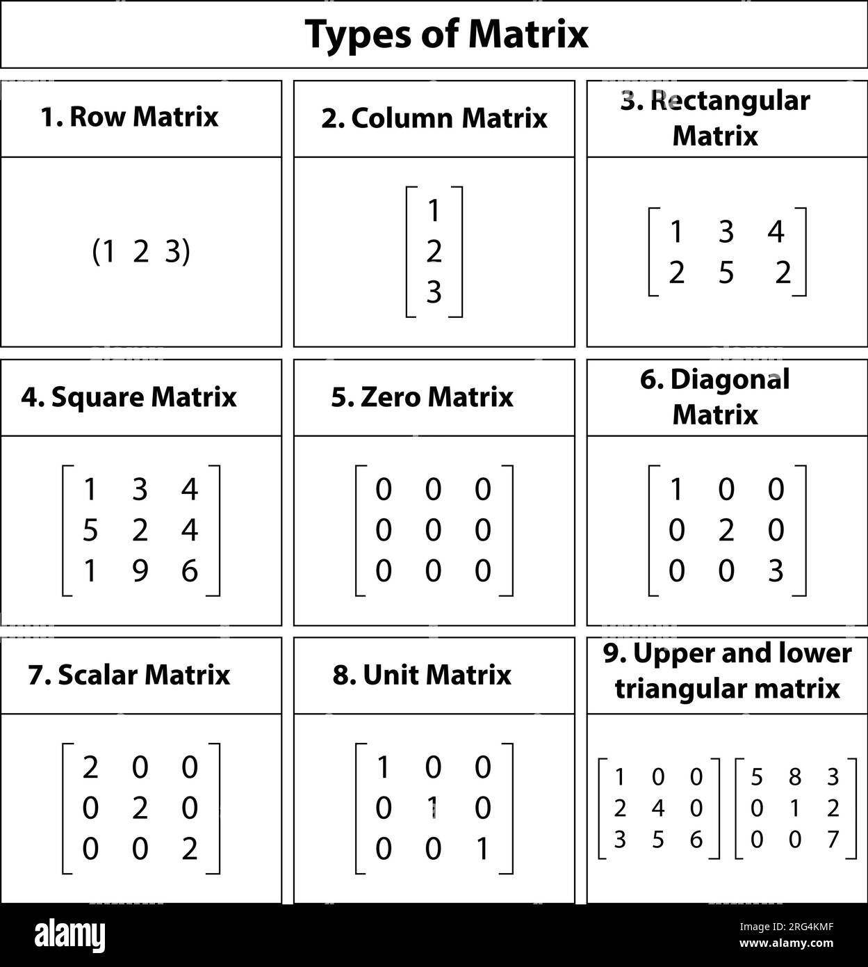 Types Of Matrix Vector Illustration On White Background Stock Vector