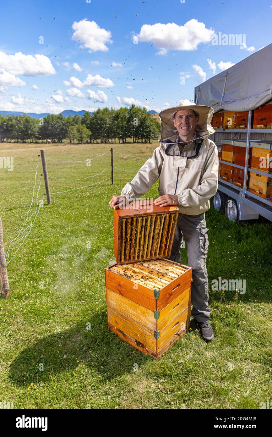 Male beekeeper wearing protective costume standing in apiary with part ...