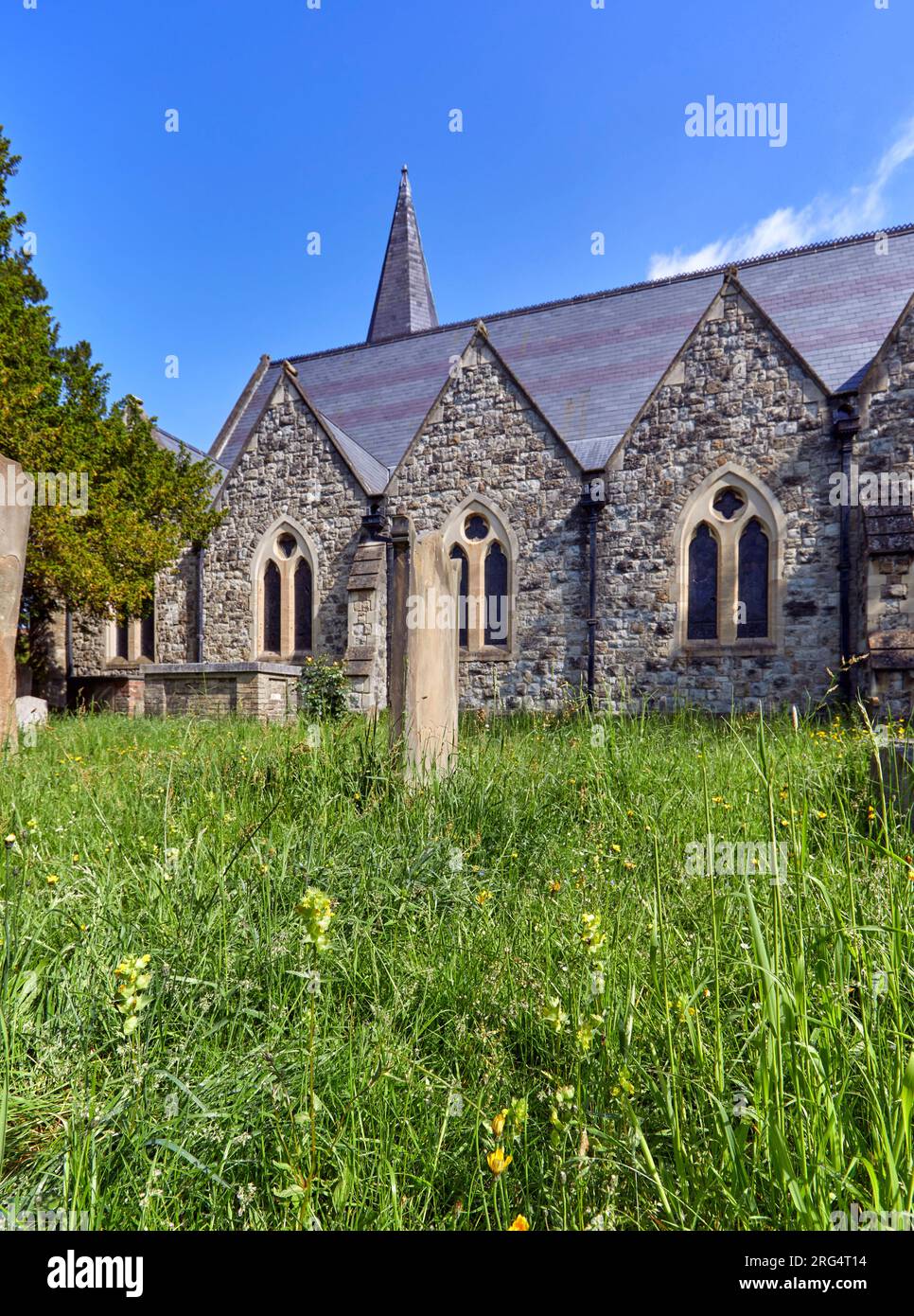 St Mary's Church with Yellow Rattle flowering in its churchyard which ...