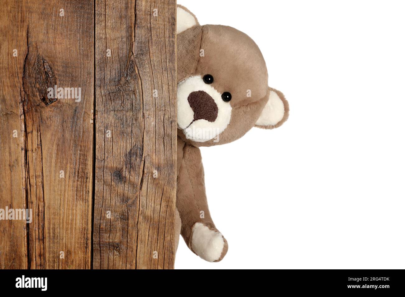 Cute teddy bear peeking out of wooden board on white background Stock ...